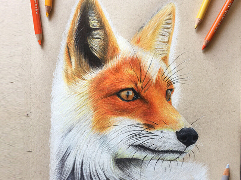 Learn to Draw Realistically: Arctic Wildlife - One River School Westport